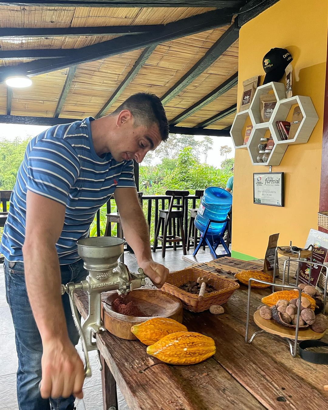 Tour del Cacao - Turismo del Eje