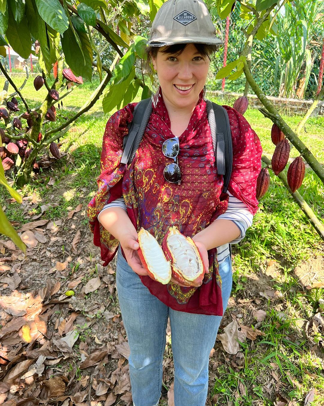 Salento, Cócora y Tour del Cacao (chocolate) - Turismo del Eje